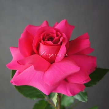 - страница 1